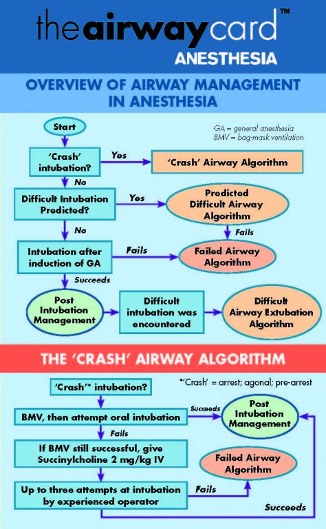 Airway World » The Airway Card: Anesthesia